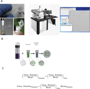 Electron Microscopy for Structural Determination and Analysis of ...